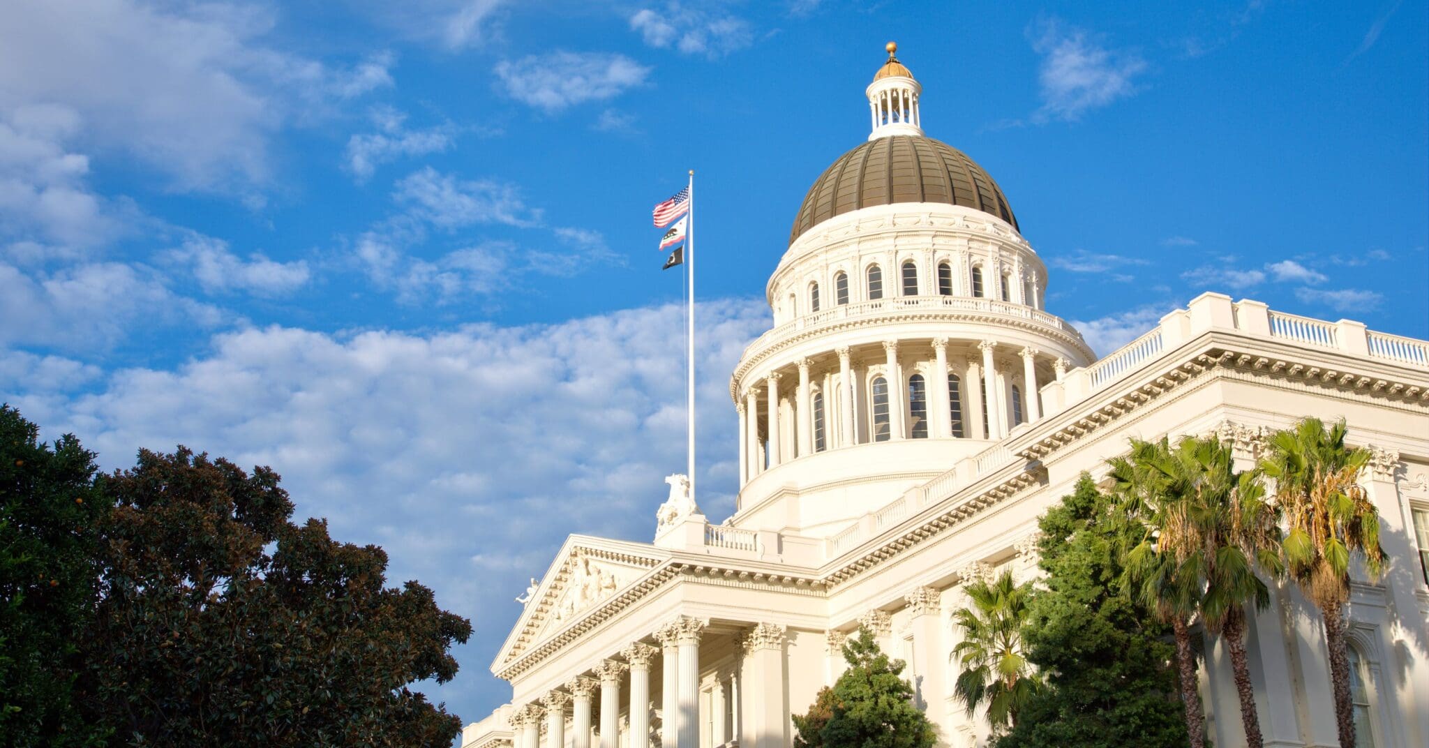 Roundup: Latest Actions from the Commission on State Mandates and What ...